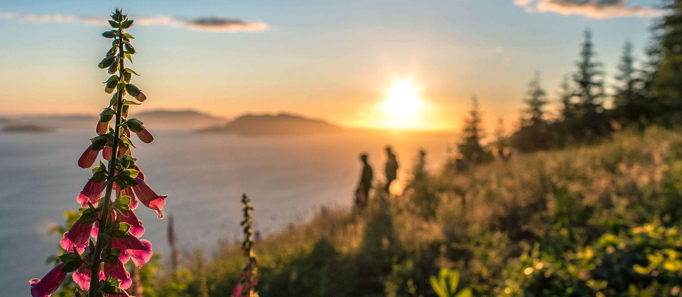 Skagit Valley Visitor's Guide | Plan Your Trip to Skagit County- Visit ...